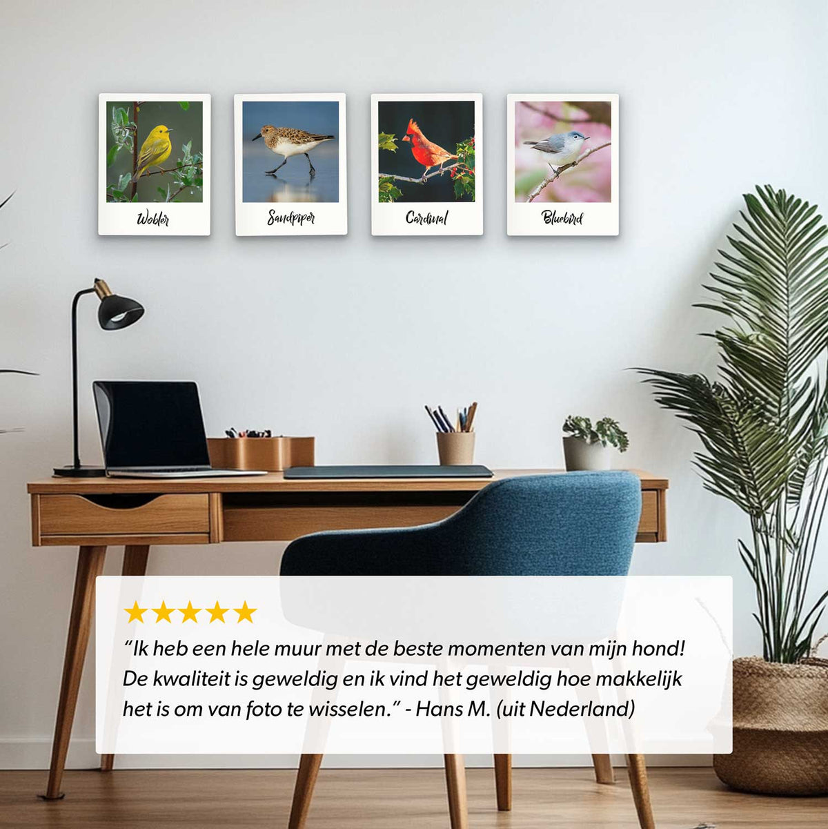 EPIX® retro - Create your instant photo wall!
